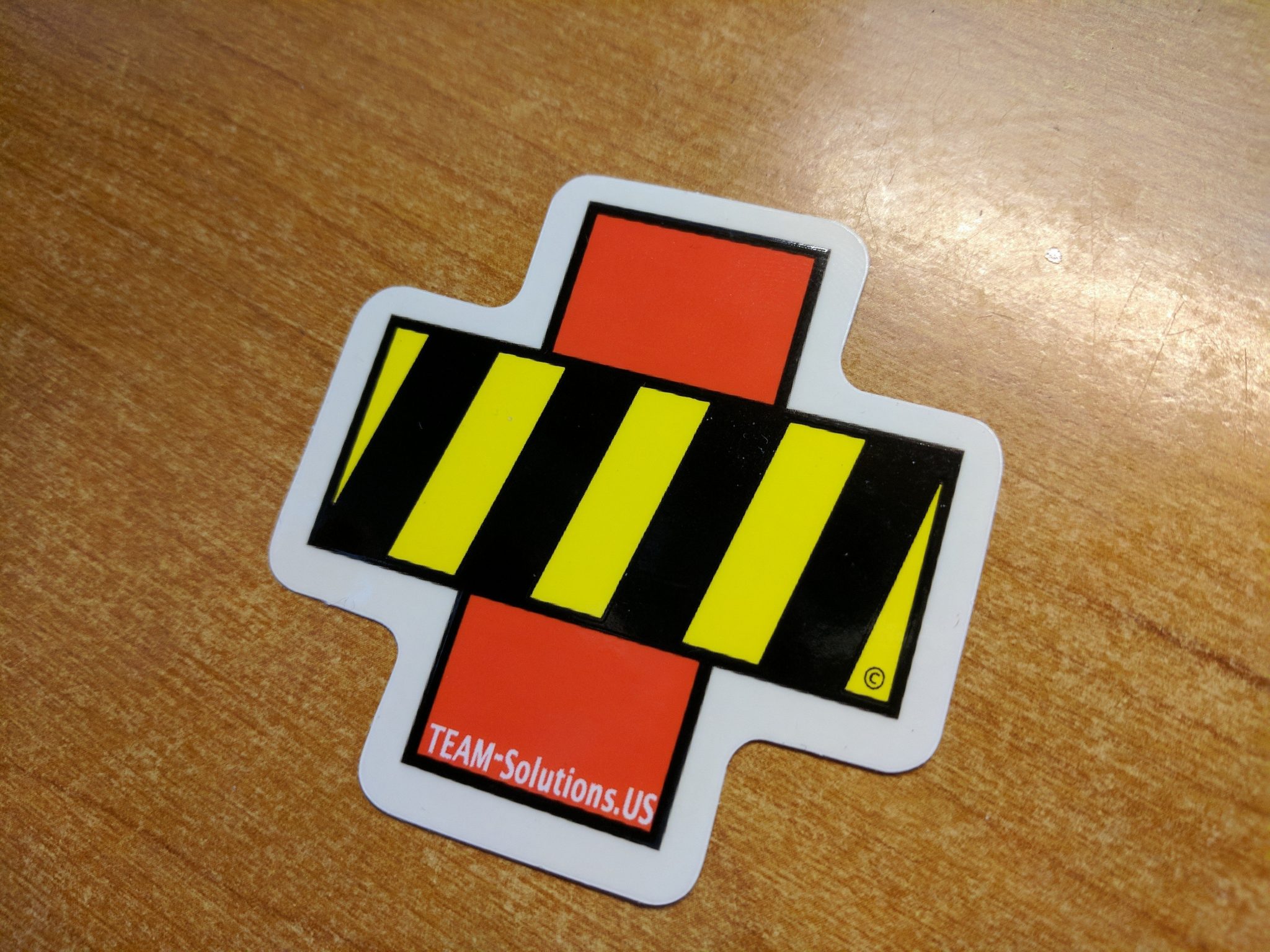 TEAM Solutions high-quality decal for windows, computers, etc.