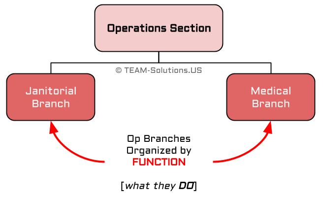 Ics Org Ops Func Branches Team Solutions